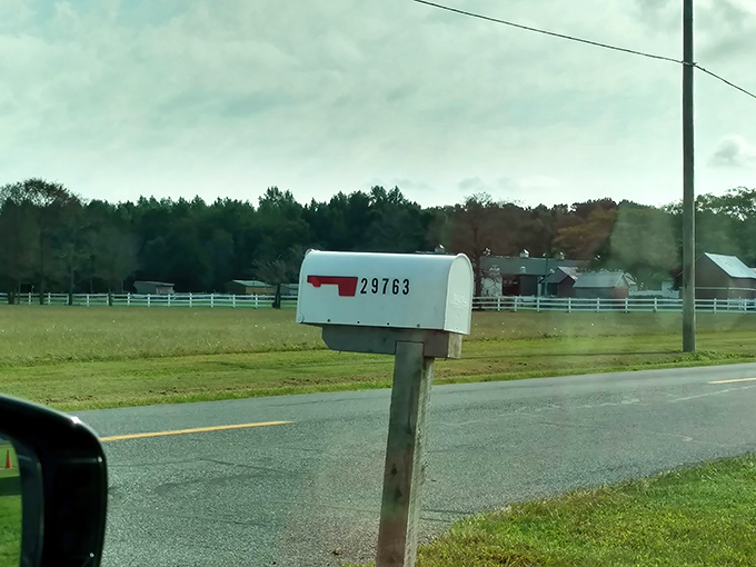 Even the mailbox looks ordinary—a delightful contrast to the extraordinary flying saucer parked just down the road.