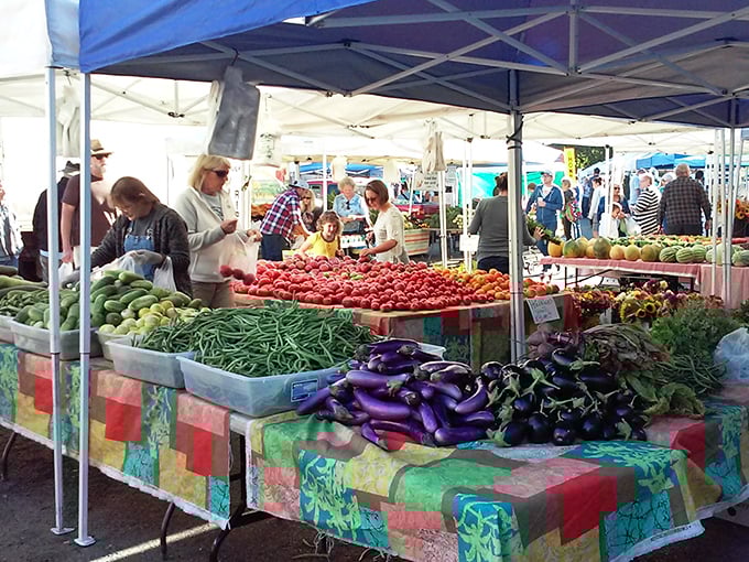 Farmers' market bounty bursts with color and flavor, where conversations with local growers come free with every purchase.