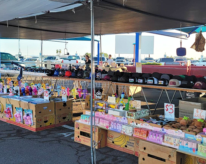 Beyond movies, the drive-in transforms into a weekend marketplace where treasures await. One person's random stuff is another's perfect find.