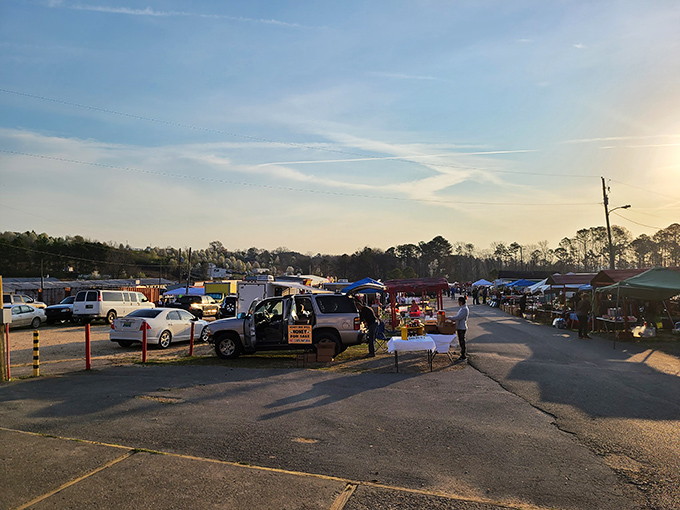 The market stretches endlessly under winter skies, proving that treasure hunting knows no seasonal boundaries.