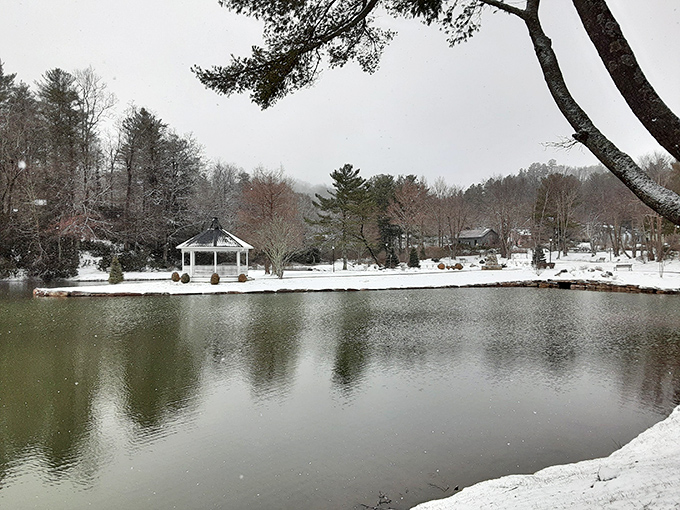 Mayview Lake in winter proves that even when nature hits pause, it's still putting on a show worth watching.
