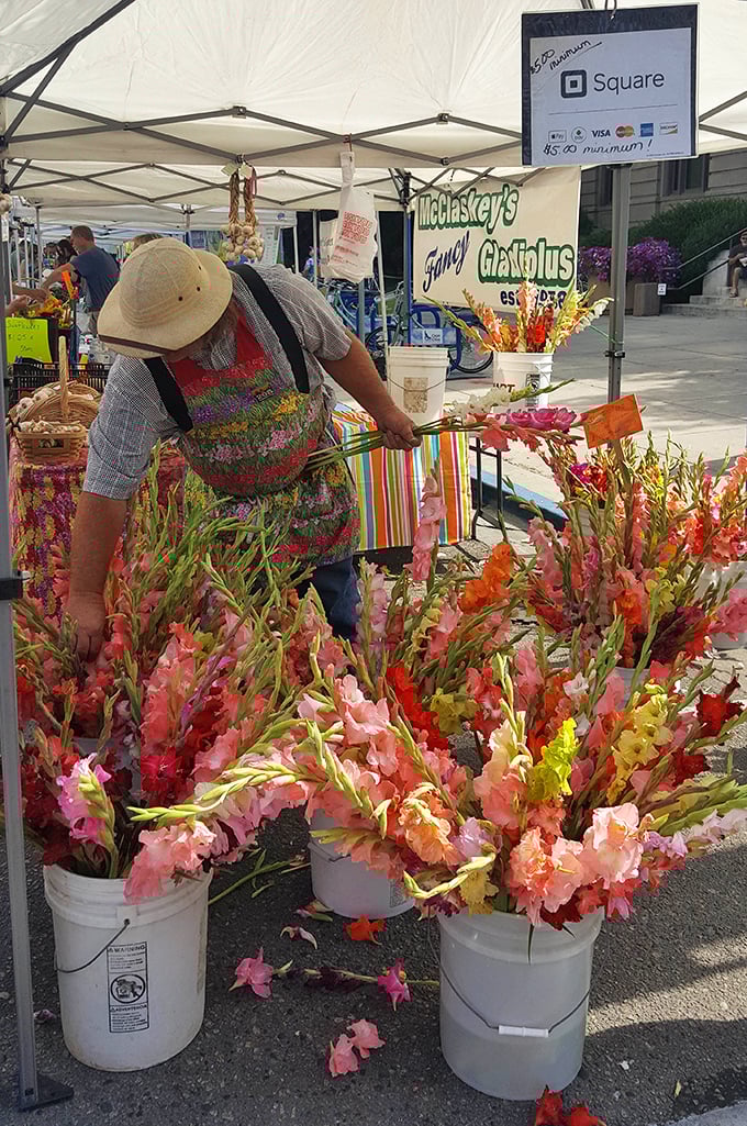 McClaskey's gladiolus explosion brings a painter's palette to life&mdash;these aren't just flowers, they're nature showing off.