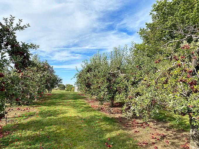 This charming country mercantile looks like it was plucked from a Hallmark movie set, where vintage finds and front porch sitting are still respected arts.