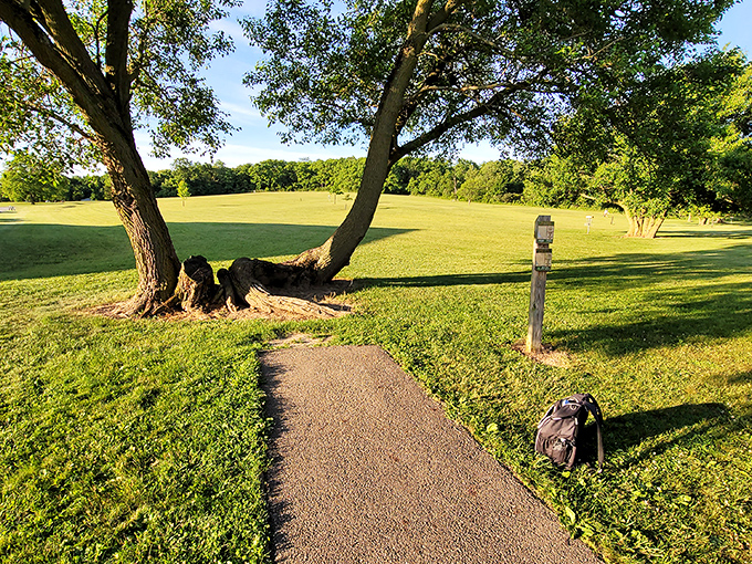 Melvin Miller Park's disc golf course invites you to fling your cares away under the watchful gaze of trees that have seen it all.