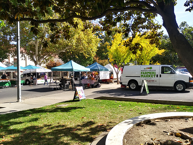 The Modesto Certified Farmers' Market: where farm-to-table isn't a trendy concept with markup pricing, but simply how things have always been done.