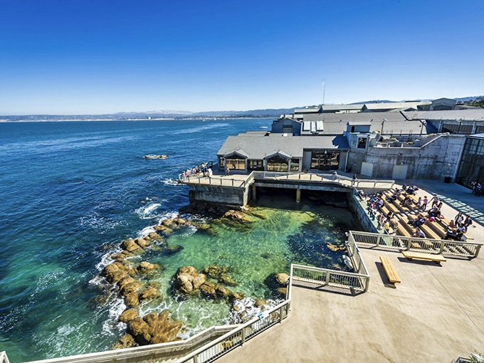 The Monterey Bay Aquarium brings you face-to-face with the ocean&mdash;without the inconvenience of actually getting wet. Marine magic on display.