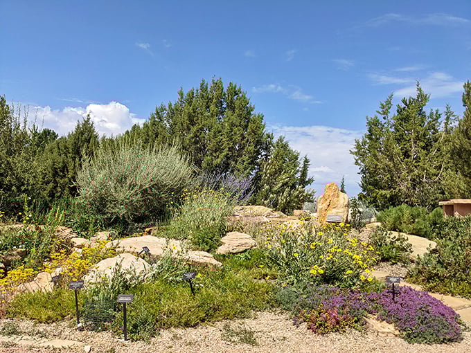 The Montrose Botanic Gardens showcase high desert flora in all their drought-resistant glory, proving that "xeriscape" and "beautiful" aren't mutually exclusive terms.