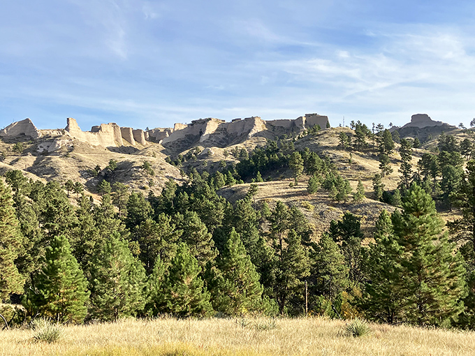 Pine-covered ridges meet golden grasslands in a landscape mashup that shouldn't work but absolutely does.