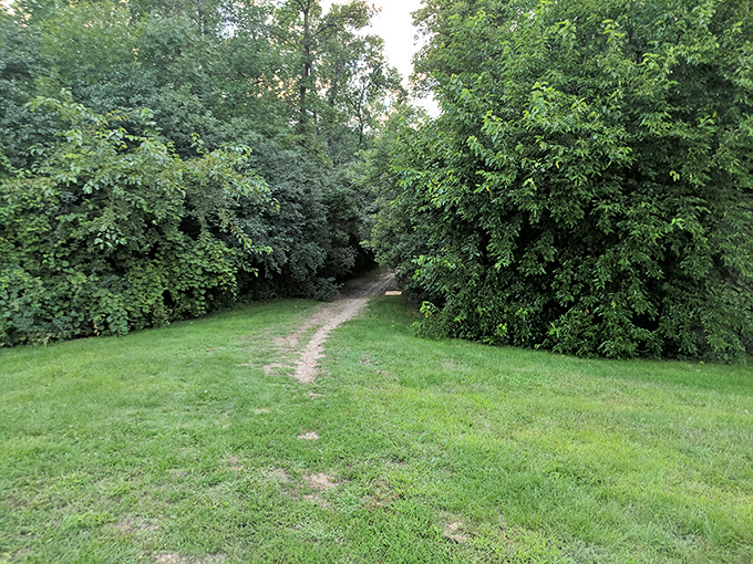 Trails wind through green spaces where nature provides free therapy and bicycles become your preferred transportation method.