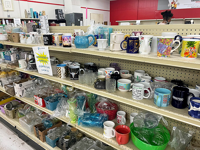 Mug collectors, rejoice! From kitschy vacation souvenirs to corporate giveaways, each cup represents someone's morning ritual looking for a new home.