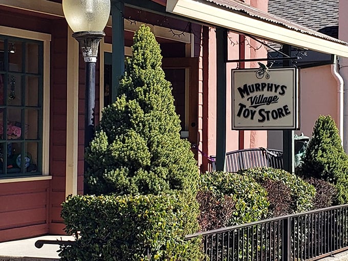 Murphys Village Toy Store harkens back to when shopping meant personal service and toys required imagination instead of batteries or software updates.