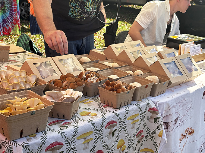 Fungi fantasy land! More mushroom varieties than most people can name, arranged with the care of precious jewels.