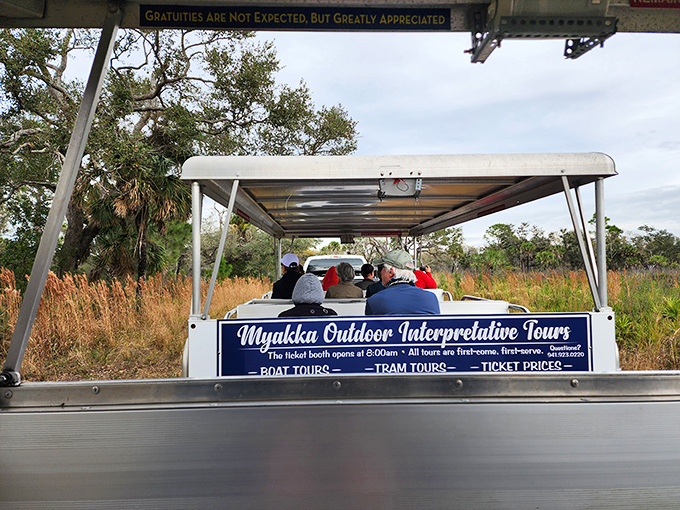 All aboard the prairie safari express! These tram tours prove that the best wildlife encounters don't require a passport or antimalarial medication.