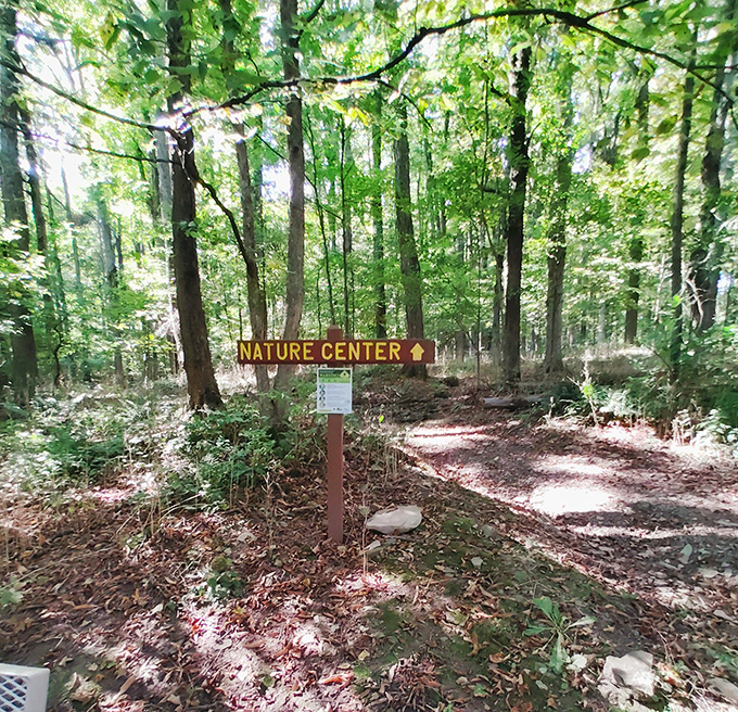 "This way to enlightenment." The Nature Center trail promises education wrapped in adventure, with a forest soundtrack included free.