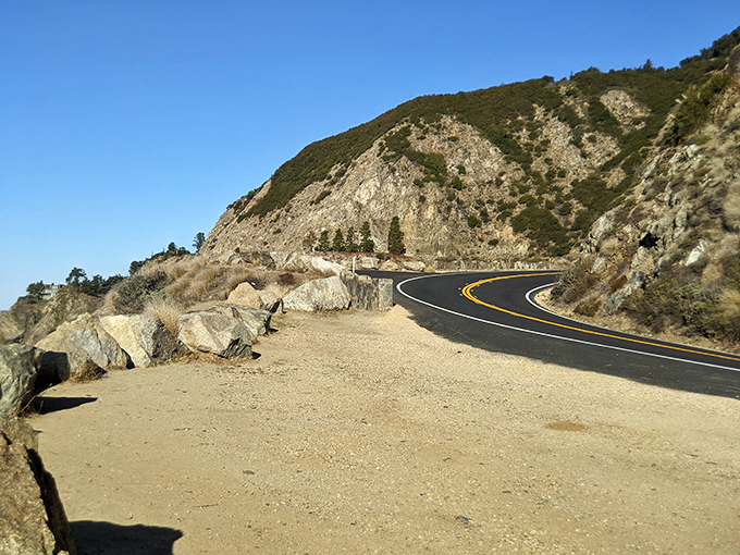 Highway 1 hugs the coastline like it's afraid of letting go, creating driving experiences that make ordinary commutes seem like sad, distant memories.