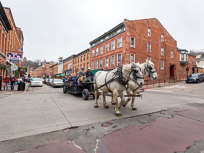 Horse-drawn carriages navigating Main Street confirm that some transportation methods never go out of style, just parking spaces.