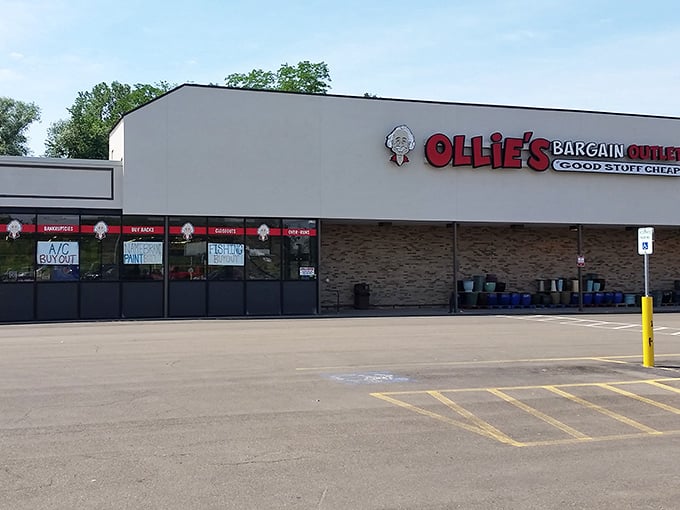 Ollie's Bargain Outlet: proof that "discount" and "treasure hunt" can happily coexist in the same shopping experience.