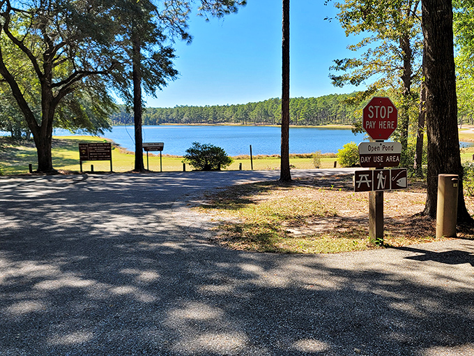 Open Pond Recreation Area at Frank Jackson State Park offers peaceful fishing spots where your biggest stress involves worm selection.