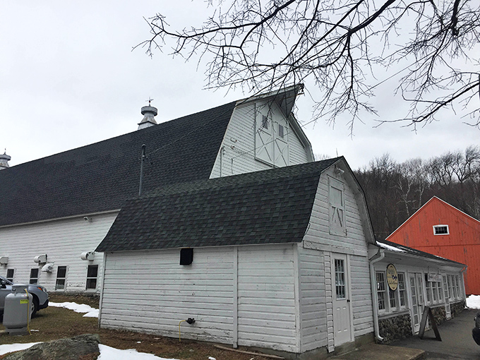 The classic white barn silhouette against Connecticut sky. That red outbuilding creates the perfect New England tableau for antique adventurers.