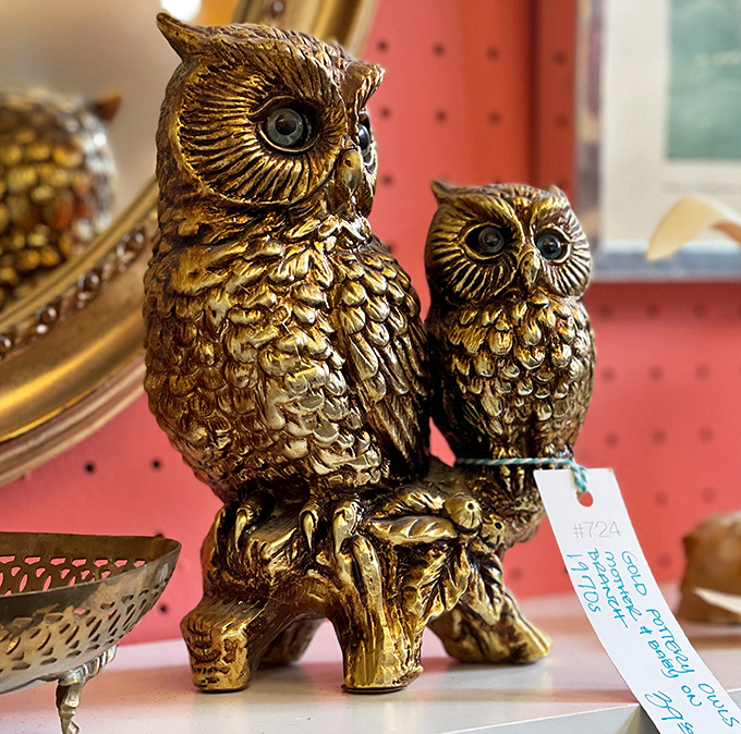 These wise old owls have seen it all. At under $40, they're ready to bring their golden wisdom to your bookshelf.