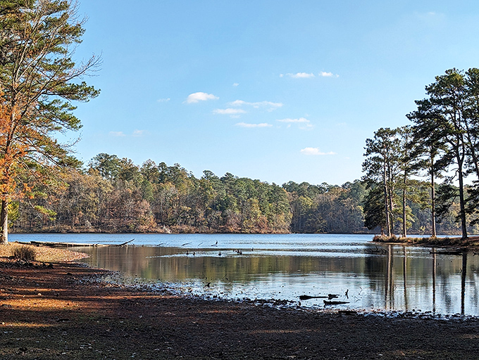 The lake stretches toward the horizon, a canvas of blue that changes its masterpiece with each passing hour.