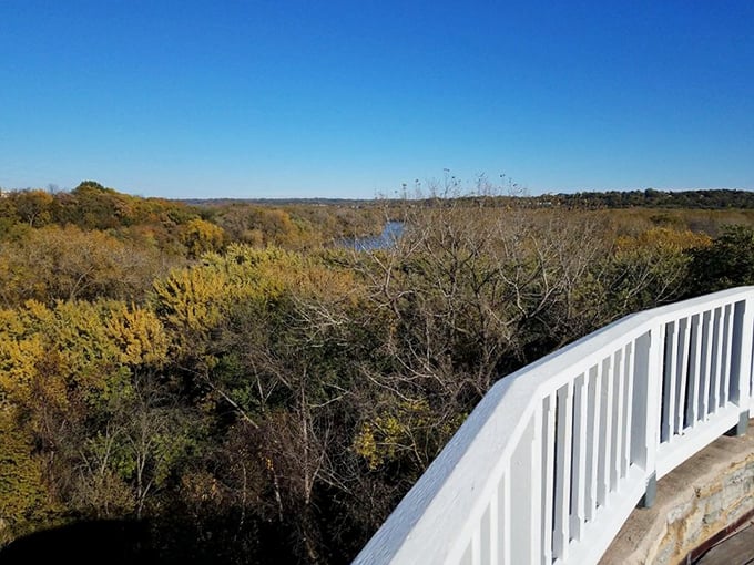 From this elevated vantage point, autumn's golden palette spreads across the river valley&mdash;Minnesota showing off its artistic side before winter's monochromatic takeover.