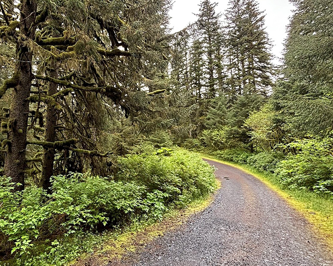 The road less traveled: This winding park path practically begs you to follow it into adventures that won't make your Instagram feed&mdash;because you'll be too busy living them.