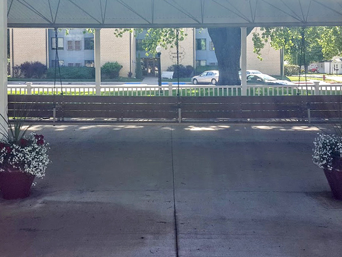 Autumn's golden light bathes the pavilion in warm hues. The fallen leaves create a seasonal frame for Hebron's year-round attraction.