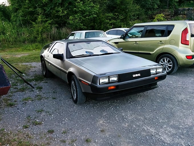 A DeLorean at the drive-in? Now that's commitment to the time-travel theme. Doc Brown would approve of this perfect pairing.
