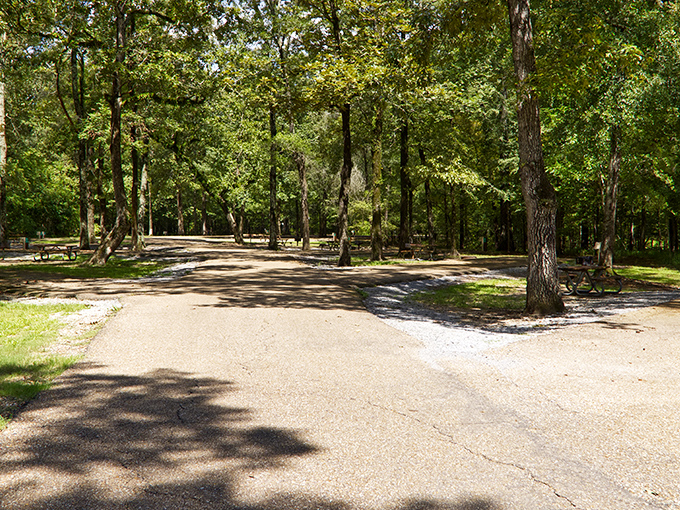 Shaded campsites offer that perfect compromise between sleeping outdoors and not completely sacrificing comfort for the Instagram photo.