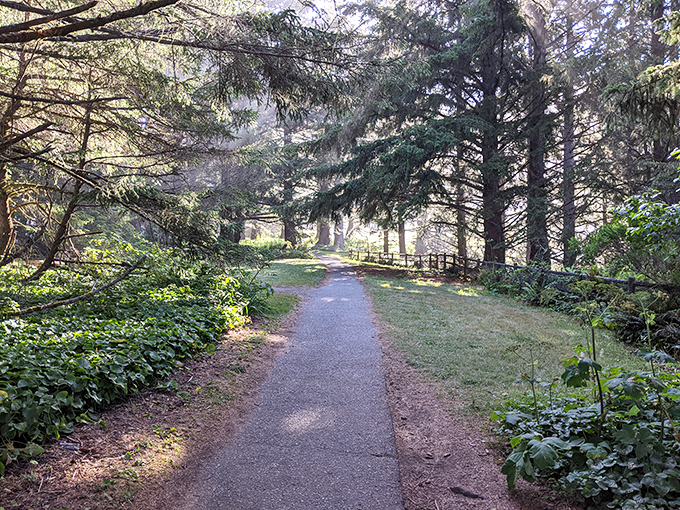 A peaceful path winding through coastal forest &ndash; where the scent of pine mingles with salt air in nature's perfect aromatherapy.