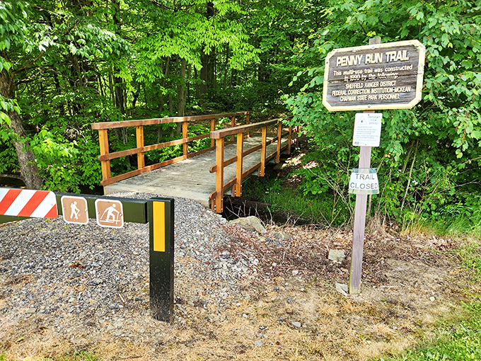 The Penny Run Trail entrance promises adventures worth far more than its name suggests. Nature's bargain awaits just across this simple wooden bridge.