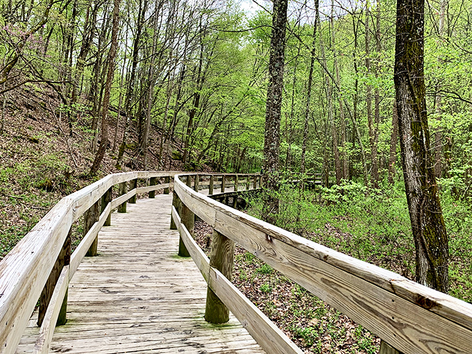 Nature's version of meditation&mdash;a wooden pathway through Tennessee's lush forest invites you to leave your phone in your pocket.