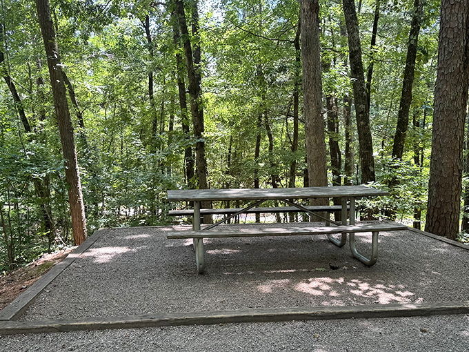 Individual picnic spots scattered throughout prove that solitude and sandwiches make an unbeatable combination for contemplative lunches.