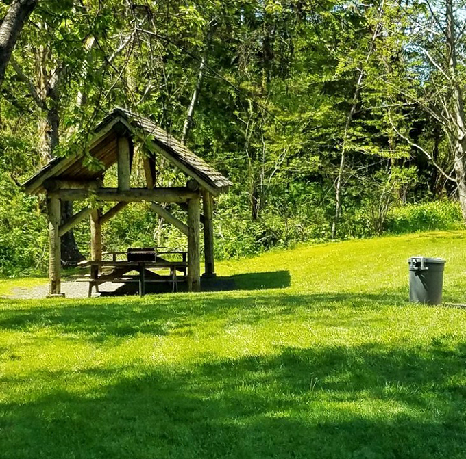 This covered picnic shelter offers the perfect spot to refuel after your hike while surrounded by towering evergreens and fresh air.