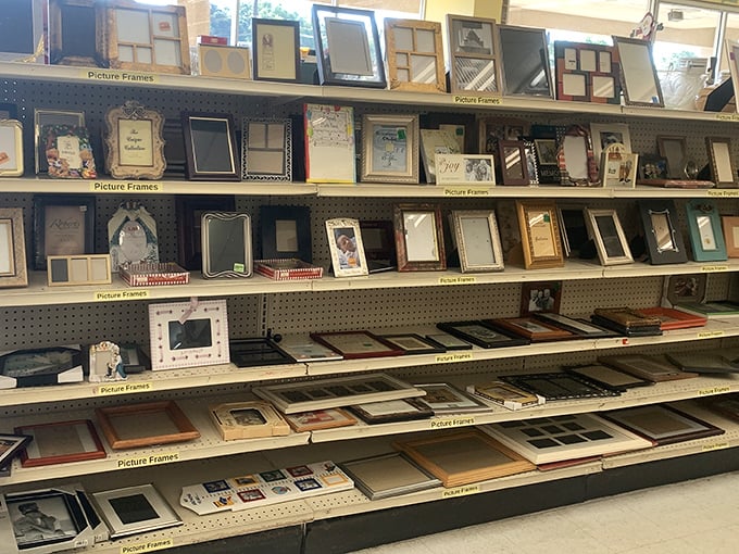 Frame of reference! These borders once highlighted family memories and vacation snapshots. Now they await your artistic vision or cherished photos.
