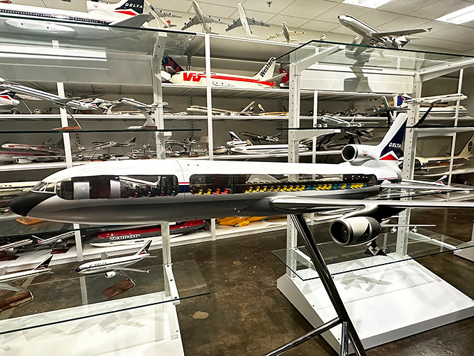 The model aircraft collection: proof that adults can have cooler toys than kids, displayed with museum-quality dignity instead of bedroom-floor chaos. 