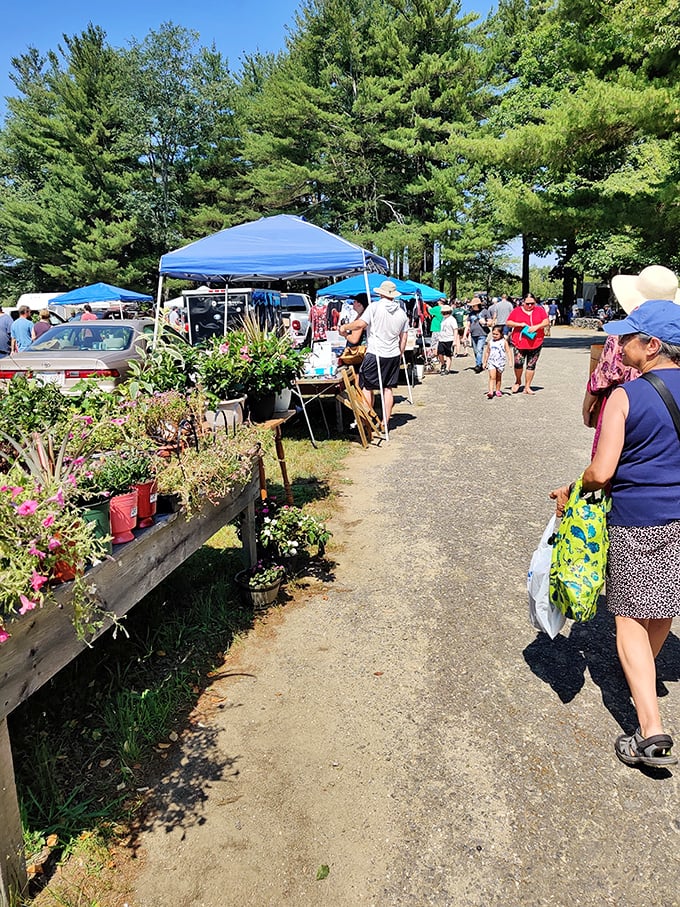 Garden treasures line the pathway, offering shoppers the chance to bring home living souvenirs that will grow alongside their flea market memories.