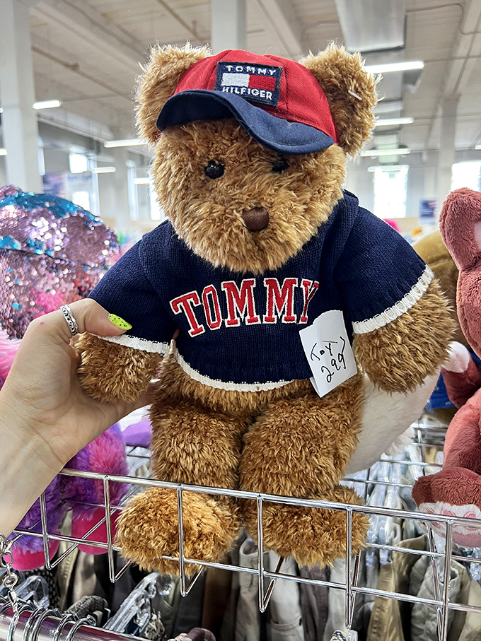 Meet Tommy the bear &ndash; he's been places, seen things, and now seeks a new adventure companion.