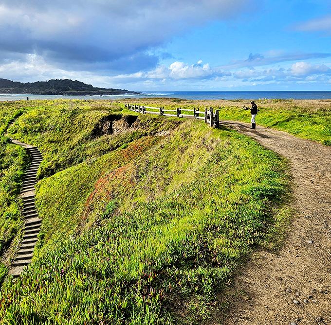 Point Mendocino Trail invites wanderers to stroll along the edge of America. Just you, sea breezes, and views that make smartphones weep.