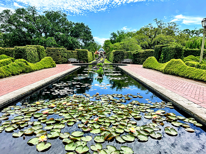 Water lilies float like nature's own art installation on this reflecting pool. Monet would have set up his easel here faster than you can say "impressionism."