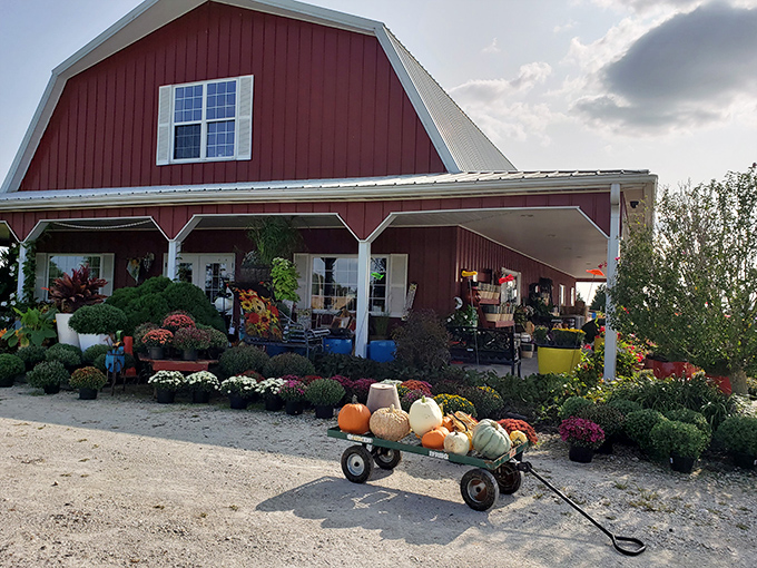 Fall harvest displays at their finest &ndash; where pumpkins, mums, and gourds create a seasonal symphony that practically demands a photo.