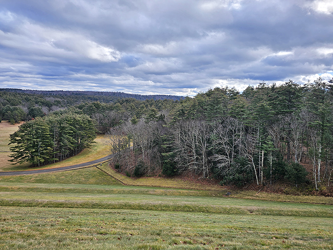 Quabbin Park's undulating landscape offers a patchwork of forests and meadows. Nature's quilt spread across the Massachusetts countryside.