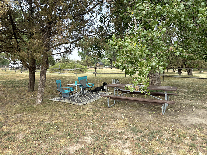 Simple pleasures: a picnic table, shade trees, and absolutely nowhere you need to be. The original outdoor living room.