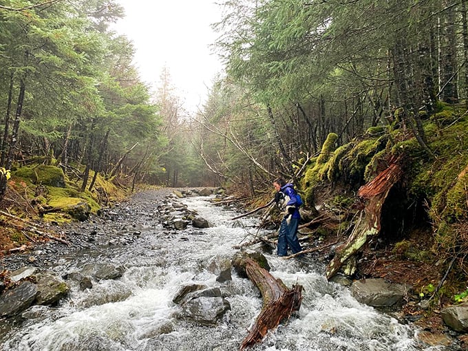 A rushing mountain stream that doesn't care about your carefully planned crossing. Nature's reminder that you're on her schedule, not yours.