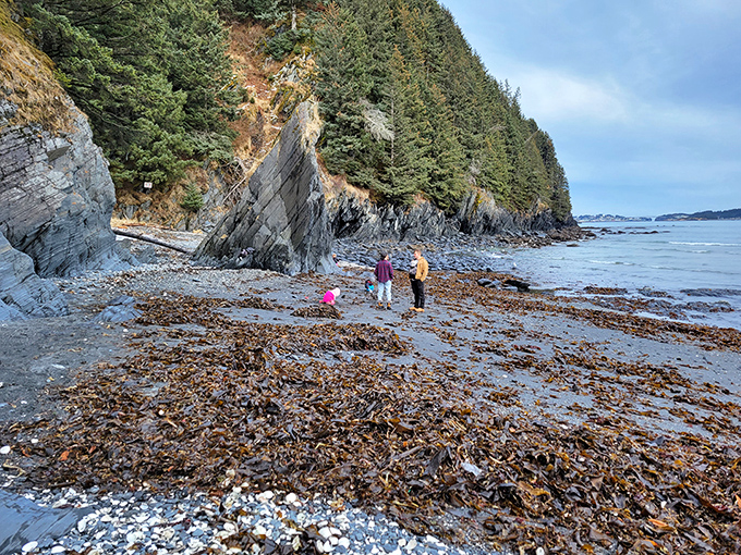 Beachcombers explore a shoreline where each tide delivers new treasures. The best souvenir shops don't have cash registers.