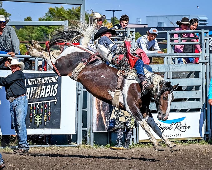 Eight seconds of controlled chaos at the rodeo&mdash;where South Dakota's cowboy spirit bucks, twists, and refuses to be tamed.
