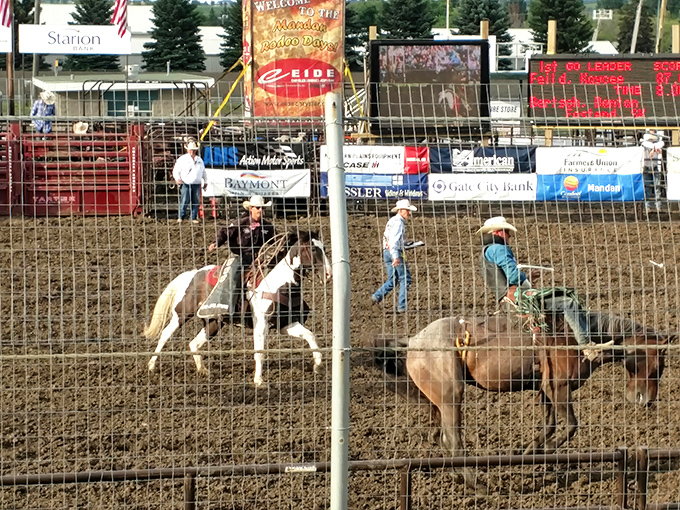 Rodeo Days brings the frontier spirit galloping into the present &ndash; cowboy hats required, city attitudes checked at the gate.