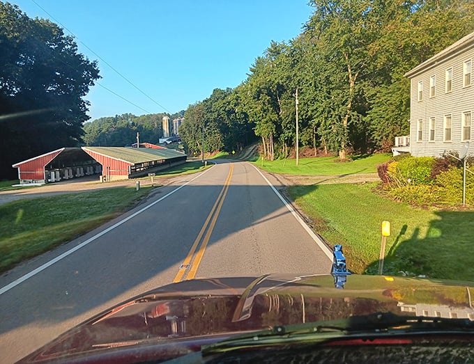 Cruising down Wally Road feels like driving through a Norman Rockwell painting where farms and forests create the perfect rural rhythm.
