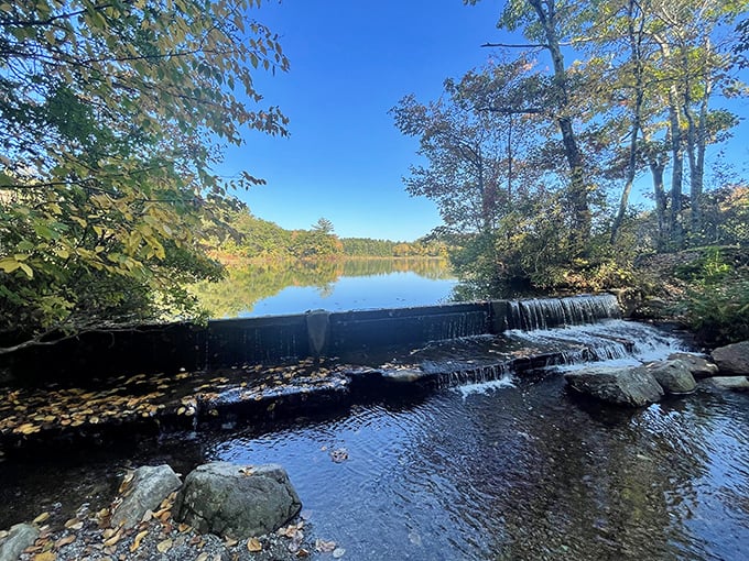A waterfall that's not trying to impress anyone with its size, but still manages to steal the show with its gentle charm.
